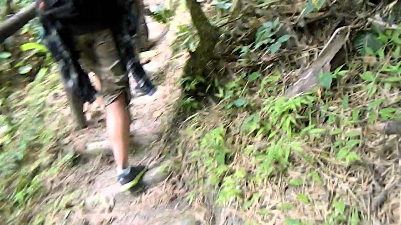 Walking through Pacoche Rainforest - YouTube