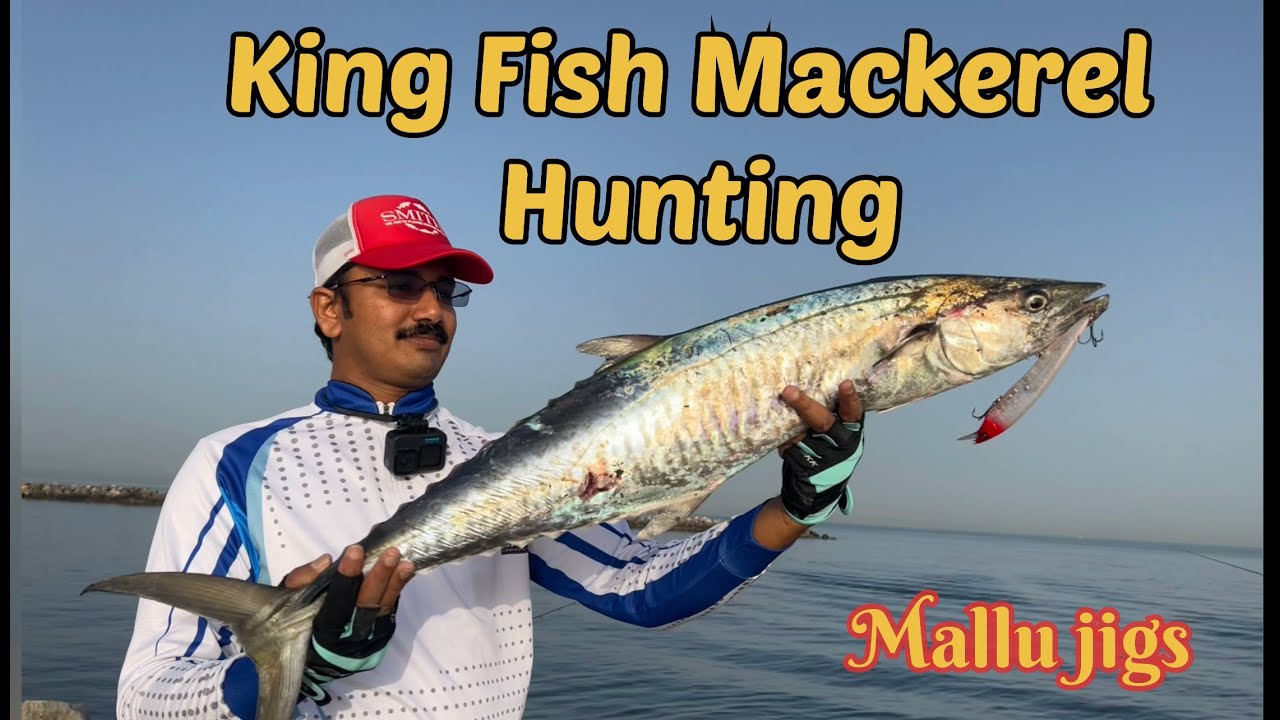 Catching King Fish Mackerel- UAE Fishing:- Mallu Jigs - YouTube