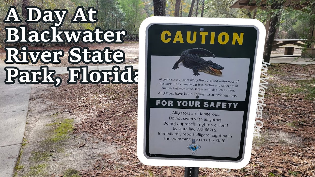Visiting Blackwater River State Park in Florida - YouTube
