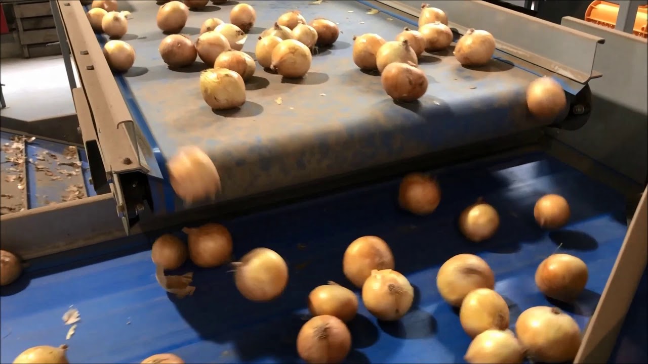 Top Tailer - YouTube