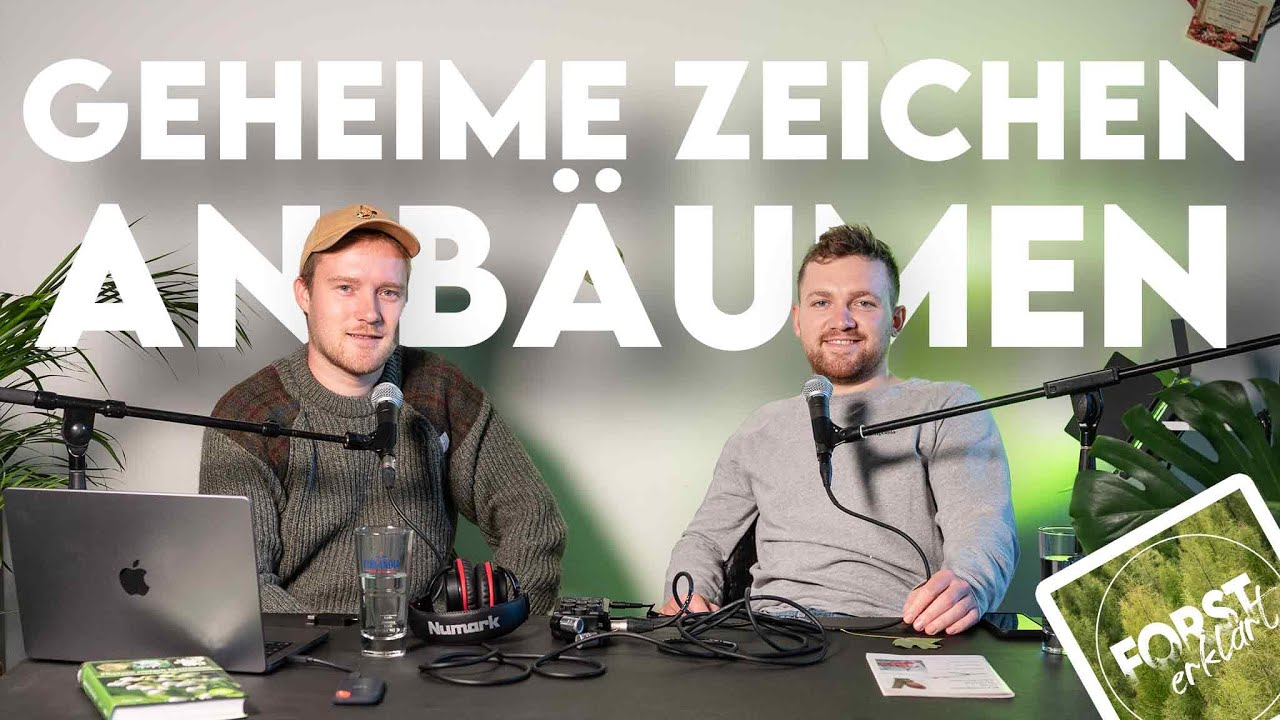 Was bedeuten die Zeichen im Wald? Forst-FAQ #7 - Forst erklärt - YouTube