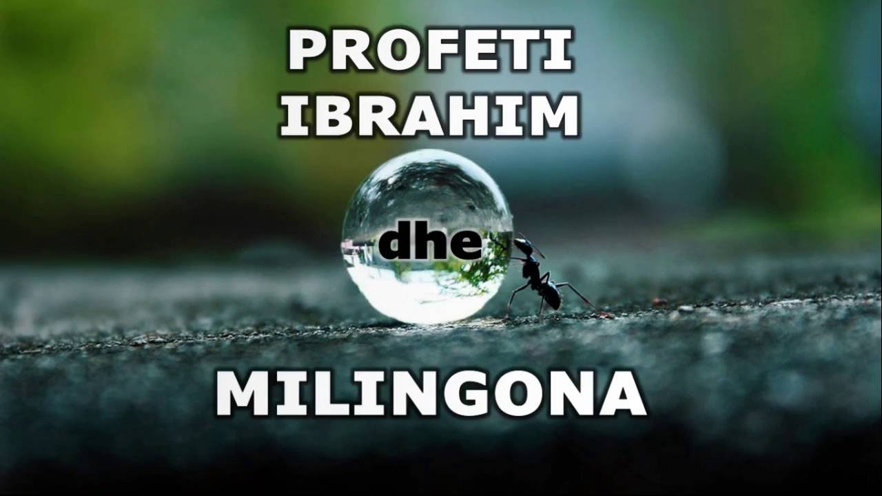 Profeti Ibrahim dhe Milingona (Rrëfenjë e Shkurtër) - YouTube