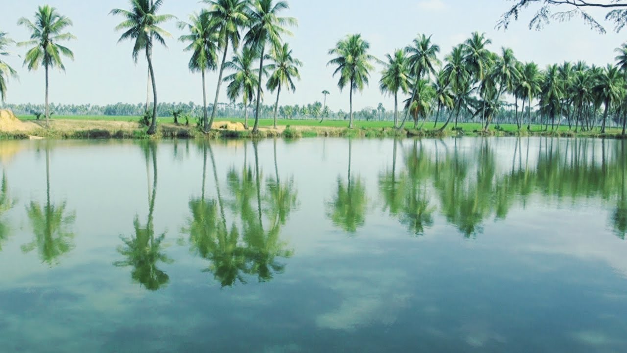 Irrigation Canal, Andhra Pradesh - YouTube