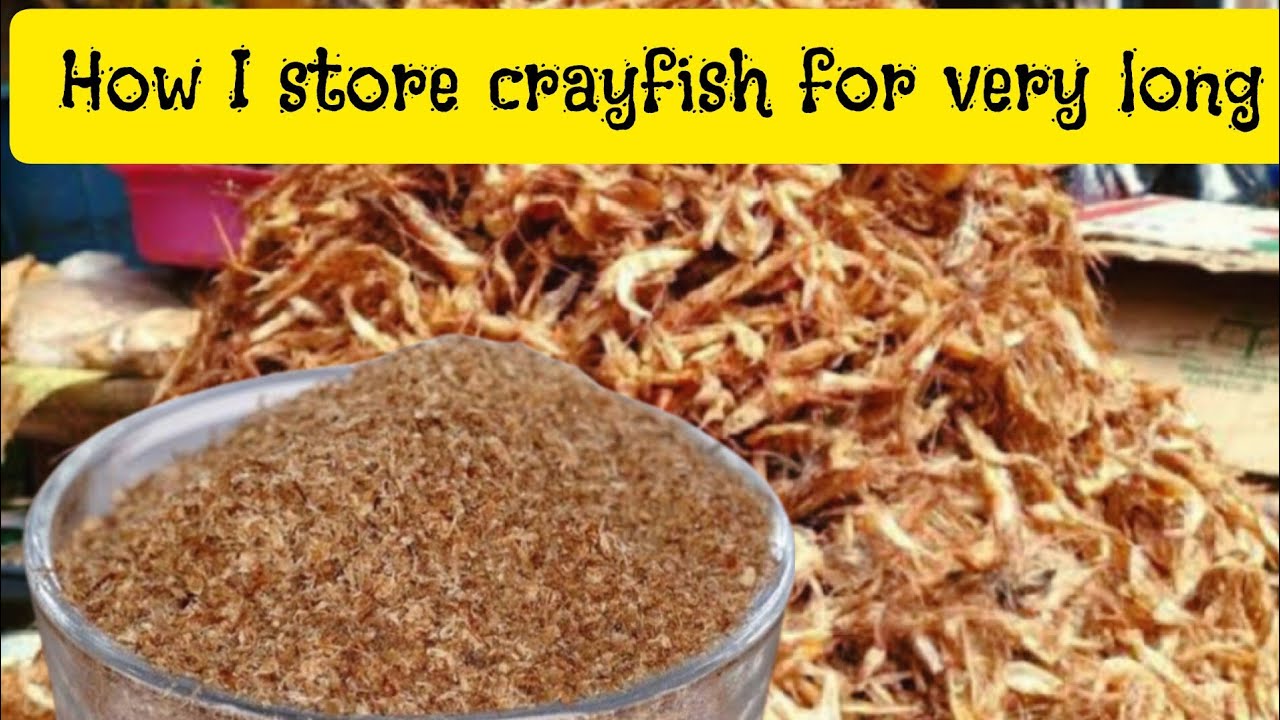 Powdered crayfish | How to grind and preserve crayfish for very long ...