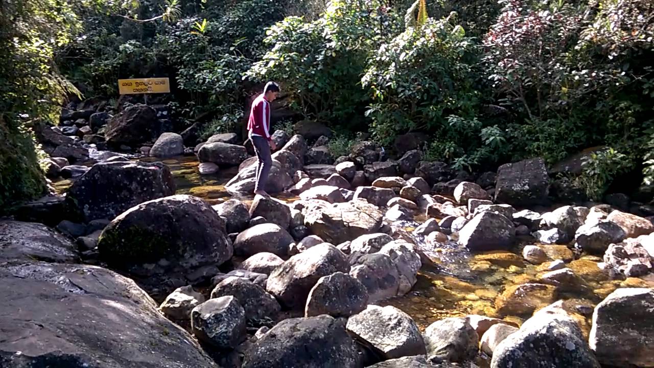 Seetha Gagula in Adams speak | SRI LANKA - YouTube