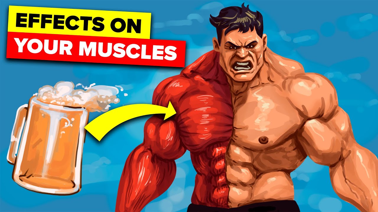 Study Shows Effects of Alcohol on Building Muscle | The Workout Show ...