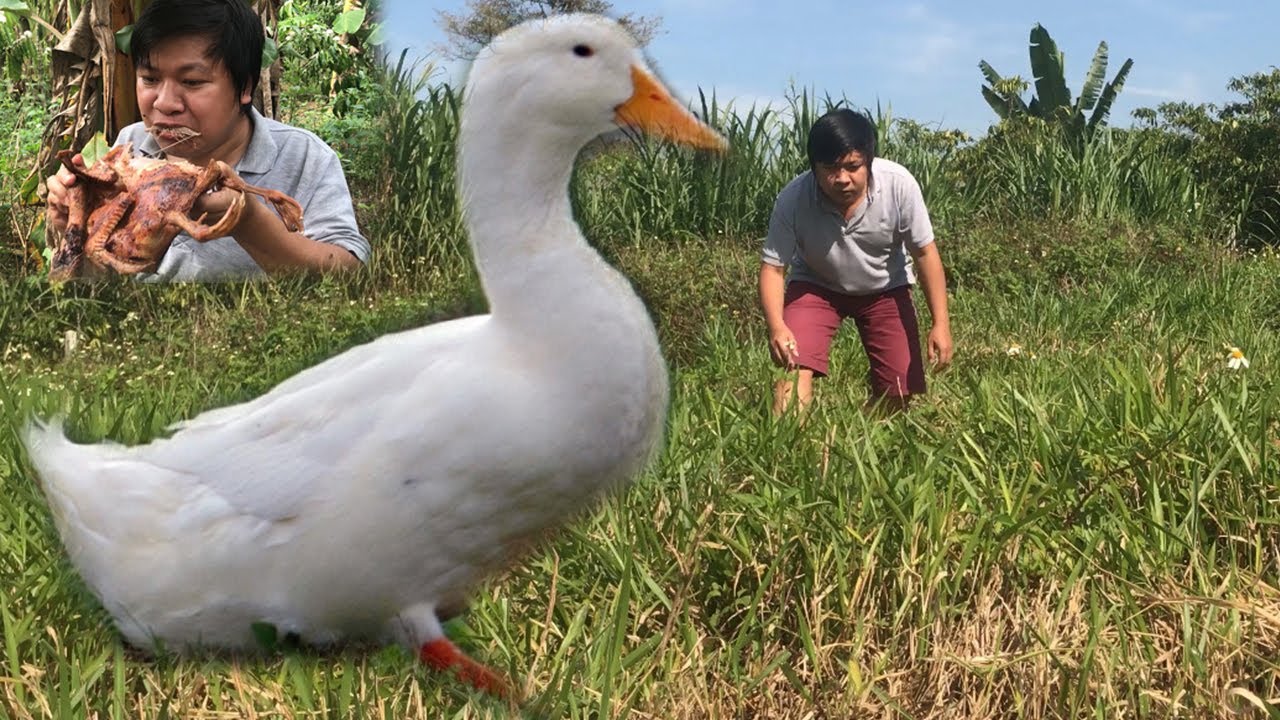Grilled duck with satay is delicious in the forest - YouTube