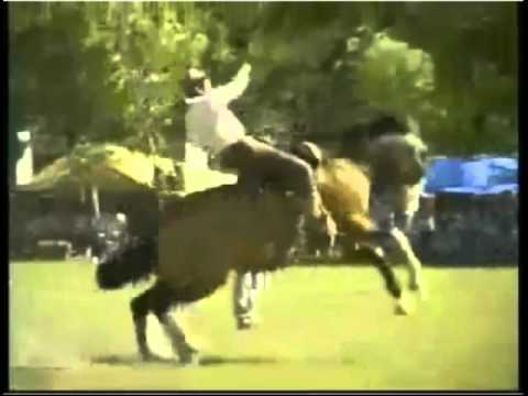 Bronk Riding The Hard Way - YouTube