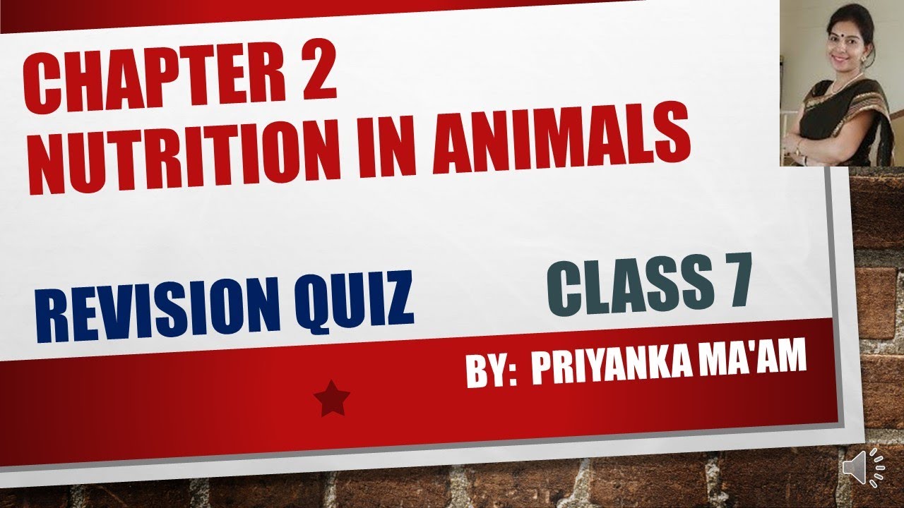 Nutrition in Animals, Chapter 2, Revision Quiz, Class 7, Science, NCERT ...