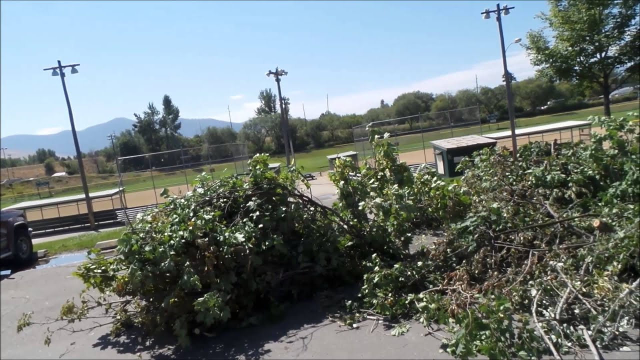 Missoula Tips: 3 Places to Drop Off Tree Debris - YouTube