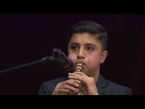 Seyyaf Rahiloglu Balaban Saritorpaq Shikestesi El Havasi Layihesi