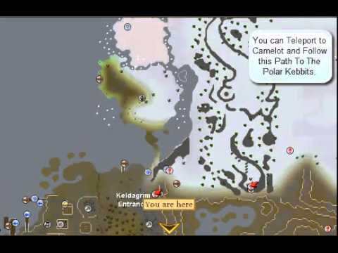 Money Making Guide For Runescape (P2P): Polar Kebbit Furs - YouTube
