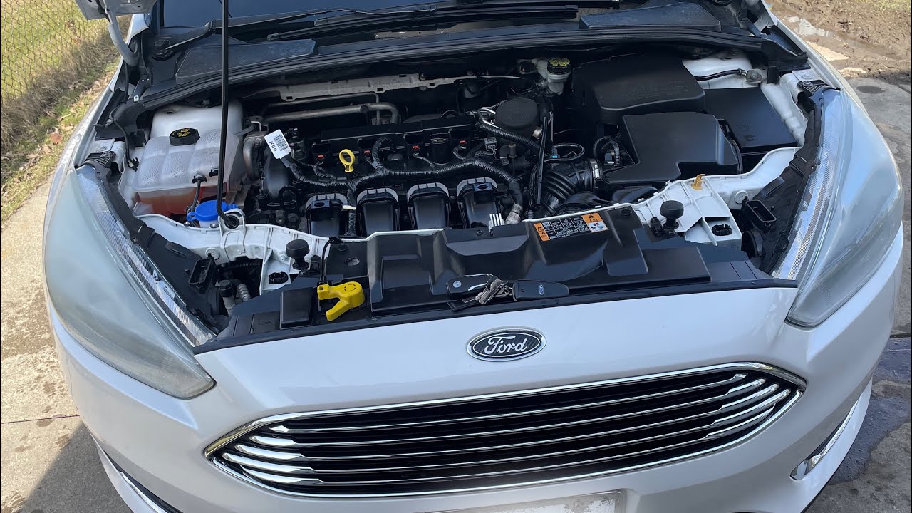 My USA 2015-2018 Ford Focus TITANIUM |engine bay clean - YouTube
