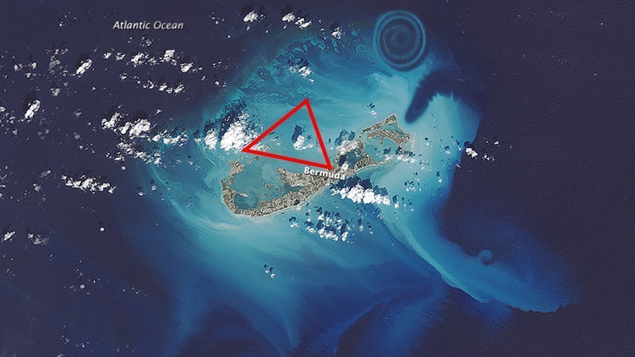 Here's What Strange Creatures Live In The Bermuda Triangle - YouTube