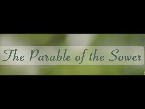 The Parable of the Sower A Bedtime Story - YouTube