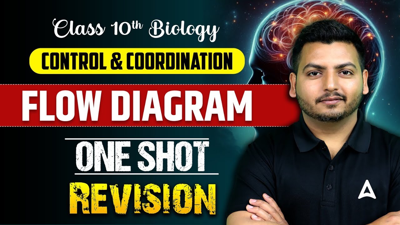 One Shot Revision Flow Diagram - Control & Coordination | Class 10 ...