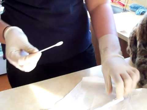 ear swab - YouTube