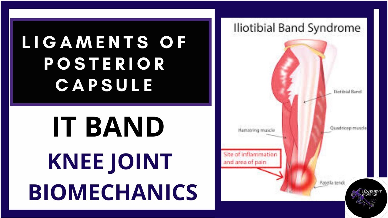 LIGAMENTS OF POSTERIOR CAPSULE(IT BAND SYNDROME)KNEE JOINT BIOMECHANICS ...