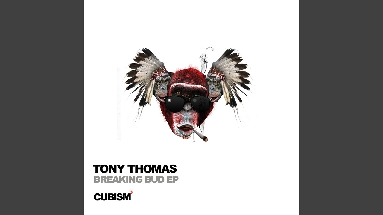 Breaking Bud (Original Mix) - YouTube