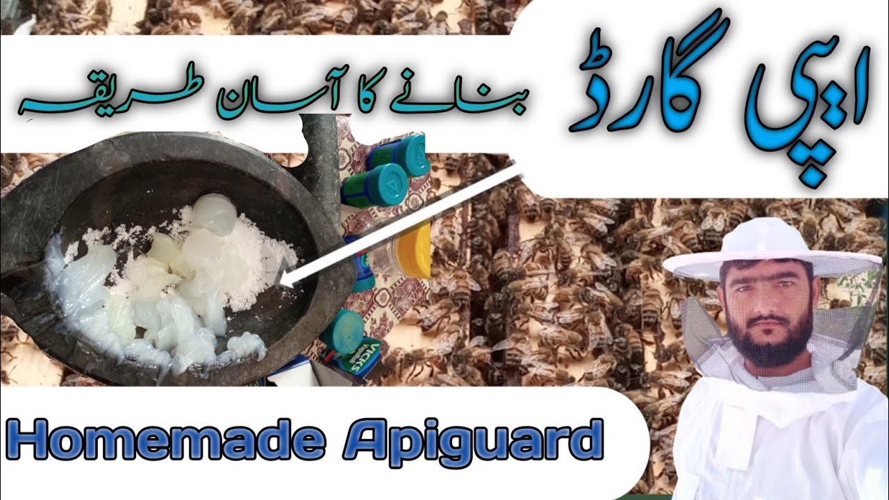 Homemade Apigard ||Varroa ,Acrine and Chalk brood treatment by homemade ...