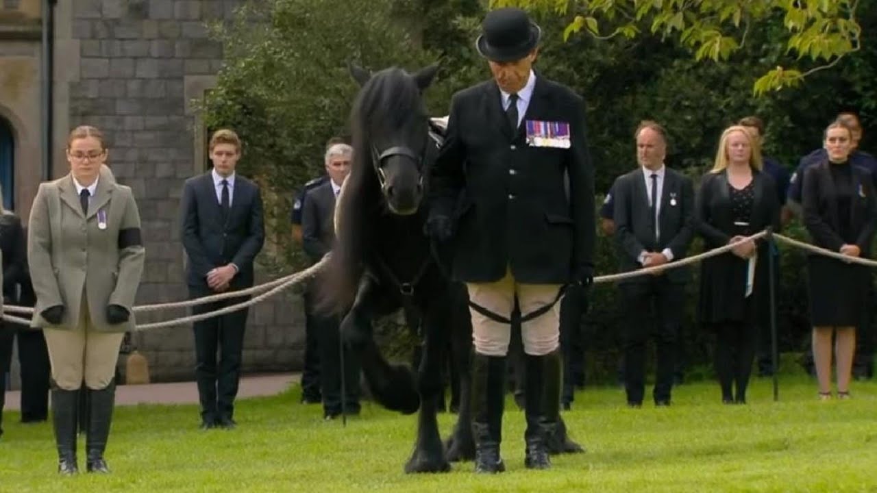 Horse Emma's Last Reverence To The Queen Elizabeth! - YouTube