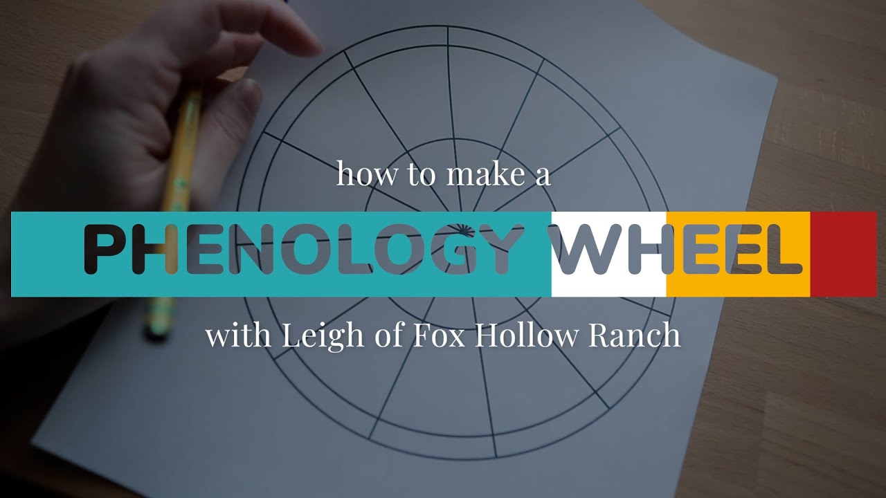 How to Make a Phenology Wheel - YouTube