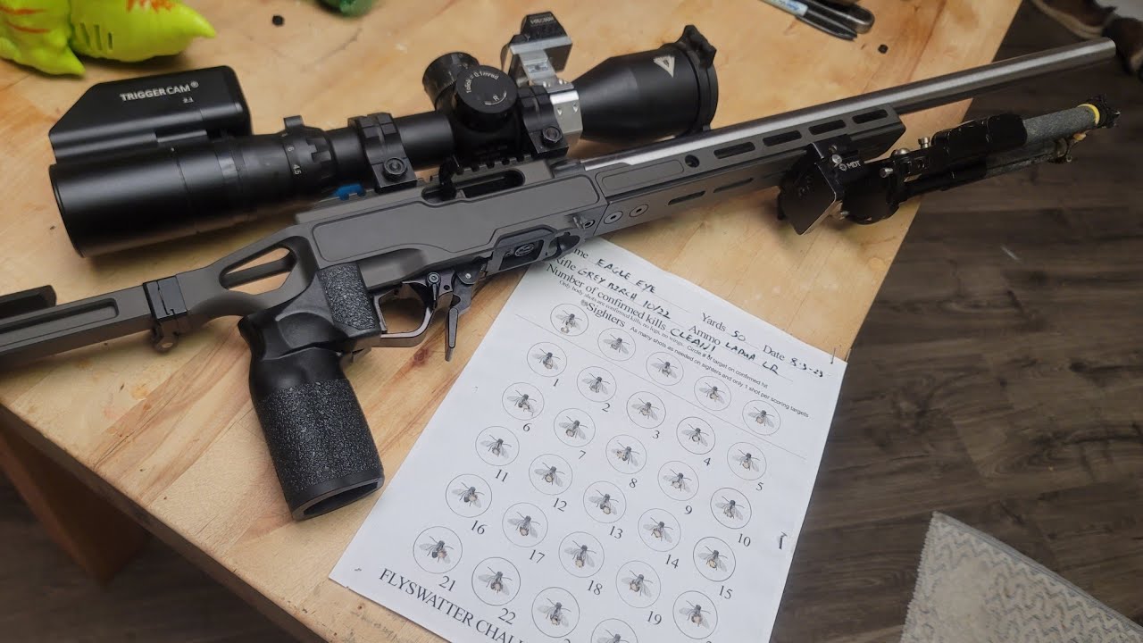 Best 10/22 Flyswatter Challenge | Grey Birch LDR Entry #2 - YouTube