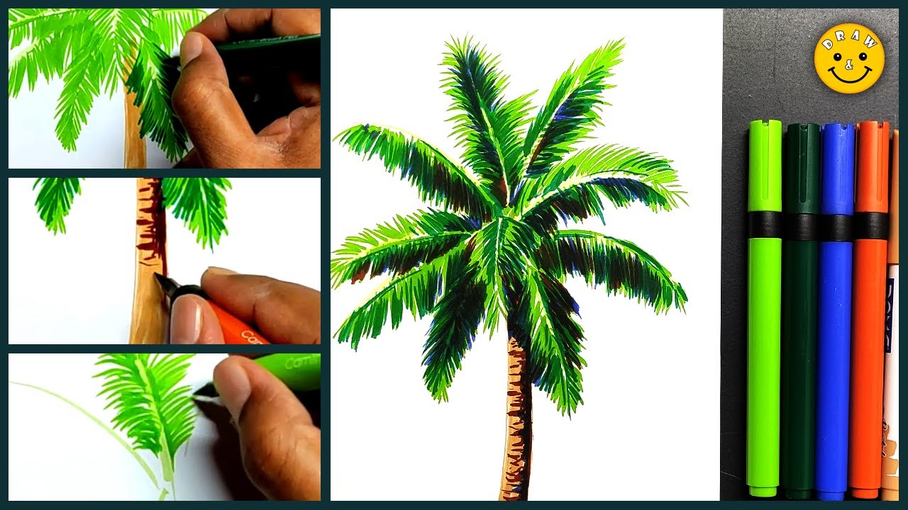 How To Draw Realistic Coconut Tree || Coconut Tree Drawing ...