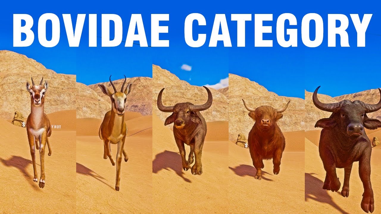 Bovidae Category Speed Race in Planet Zoo included Gazelle, Cattle ...