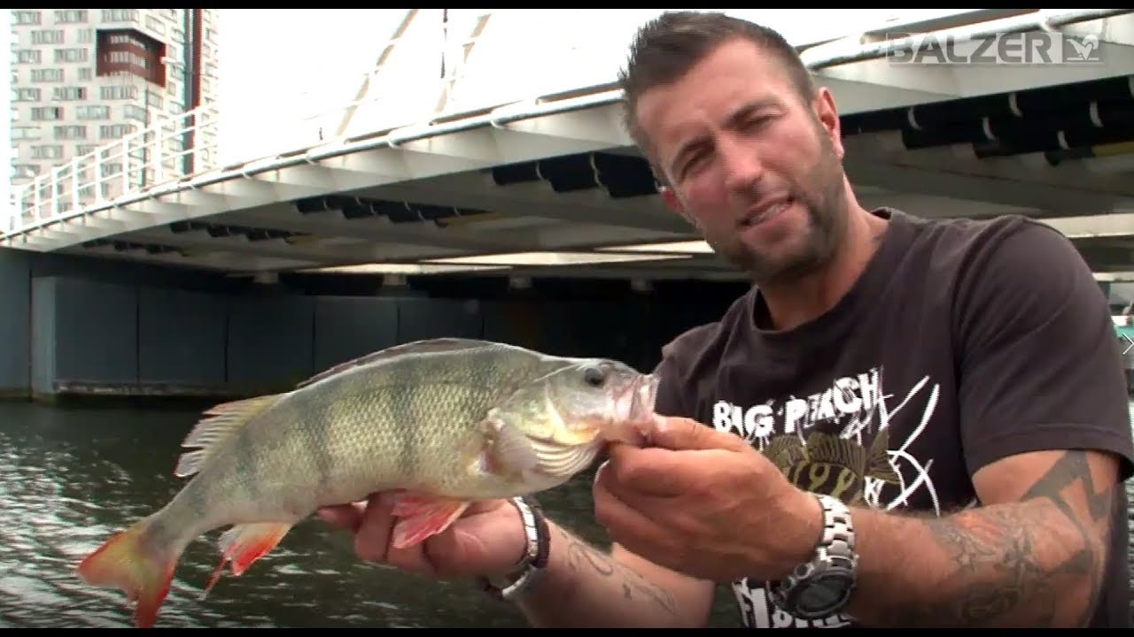 Balzer Pro Staff Jig Rig - YouTube