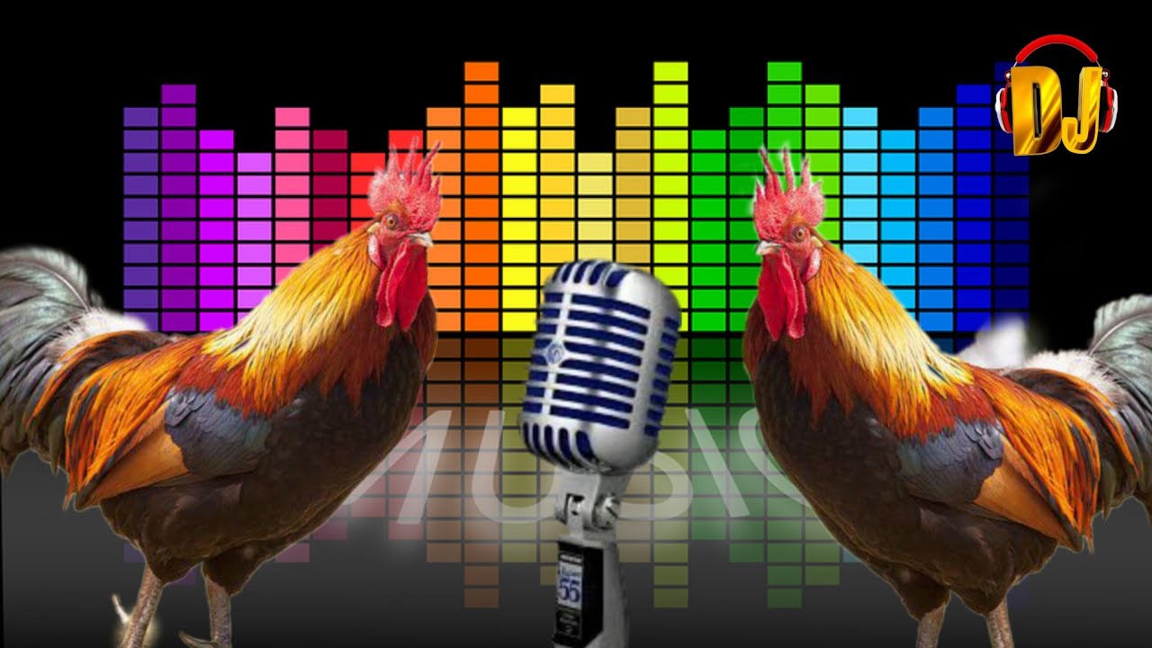 Coco Chicken Dance & Funny Song Video Episode 1 ! Coco Dance - YouTube