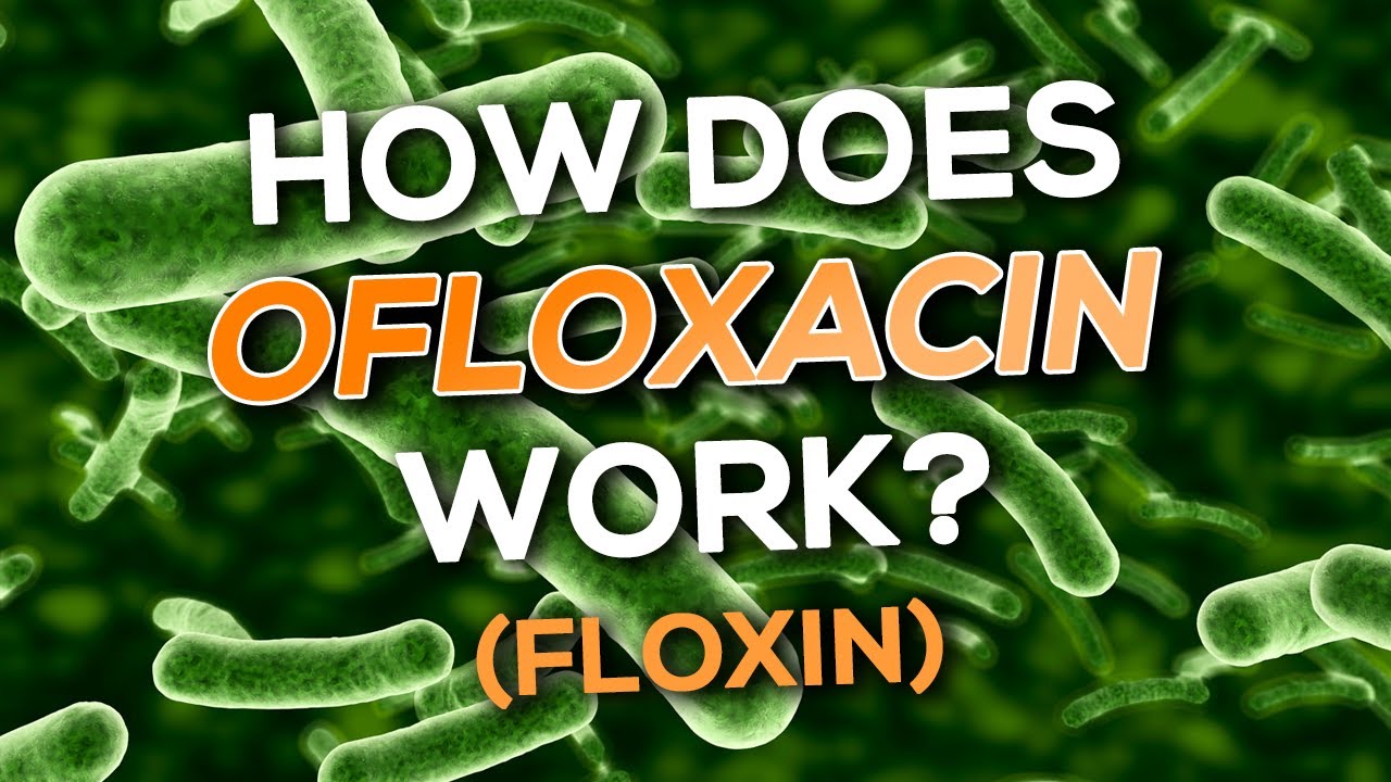 Ofloxacin (Floxin) Nursing Drug Card (Simplified) - Pharmacology - YouTube