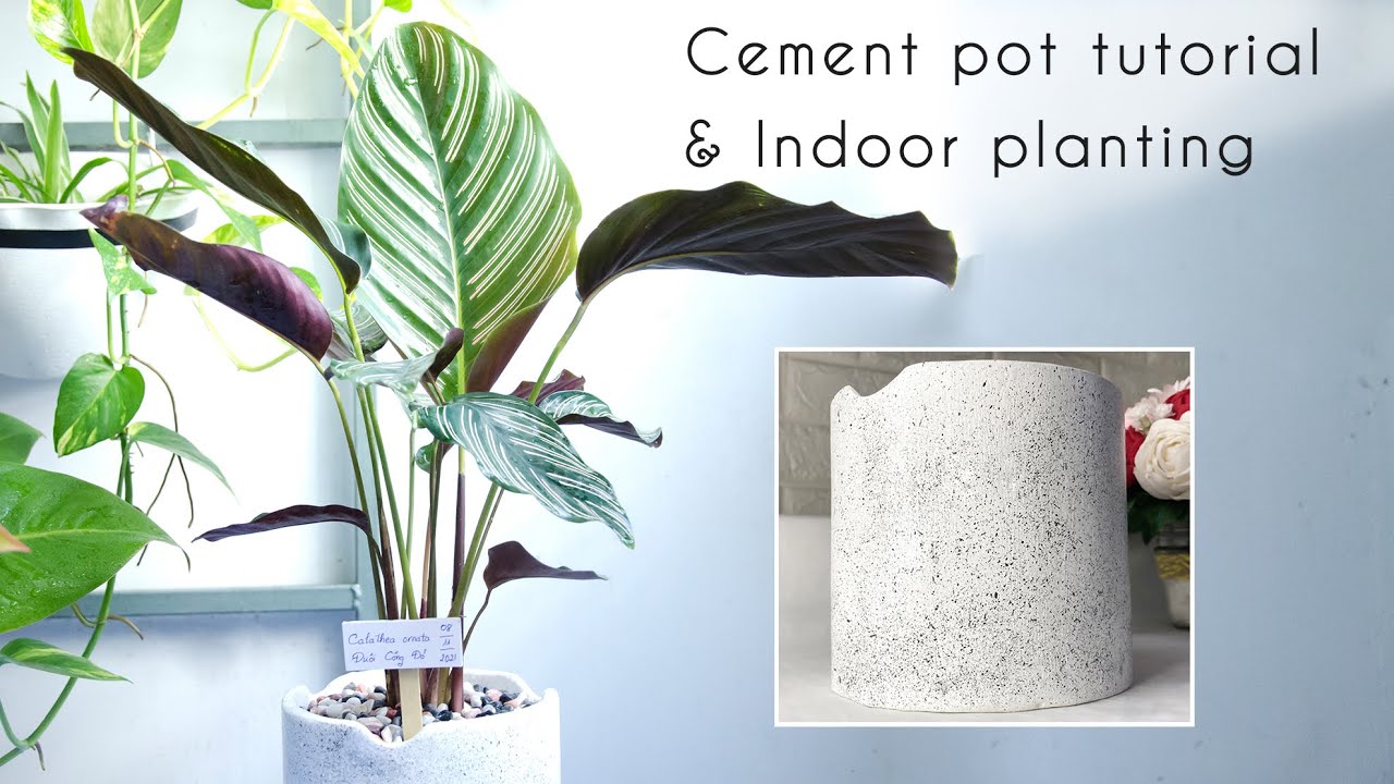 How to make flower cement pot at home & care for indoor plants Easy ...