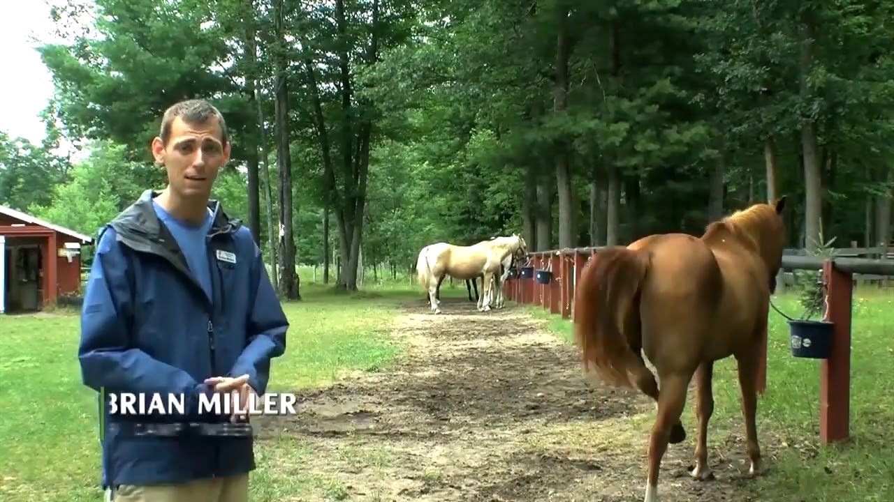 Camp Timbers | West Branch MI - YouTube