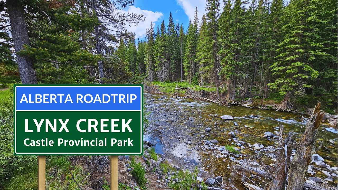 Alberta Adventure Day 6 | Roadtrip Expedition | Lynx Creek Campground ...