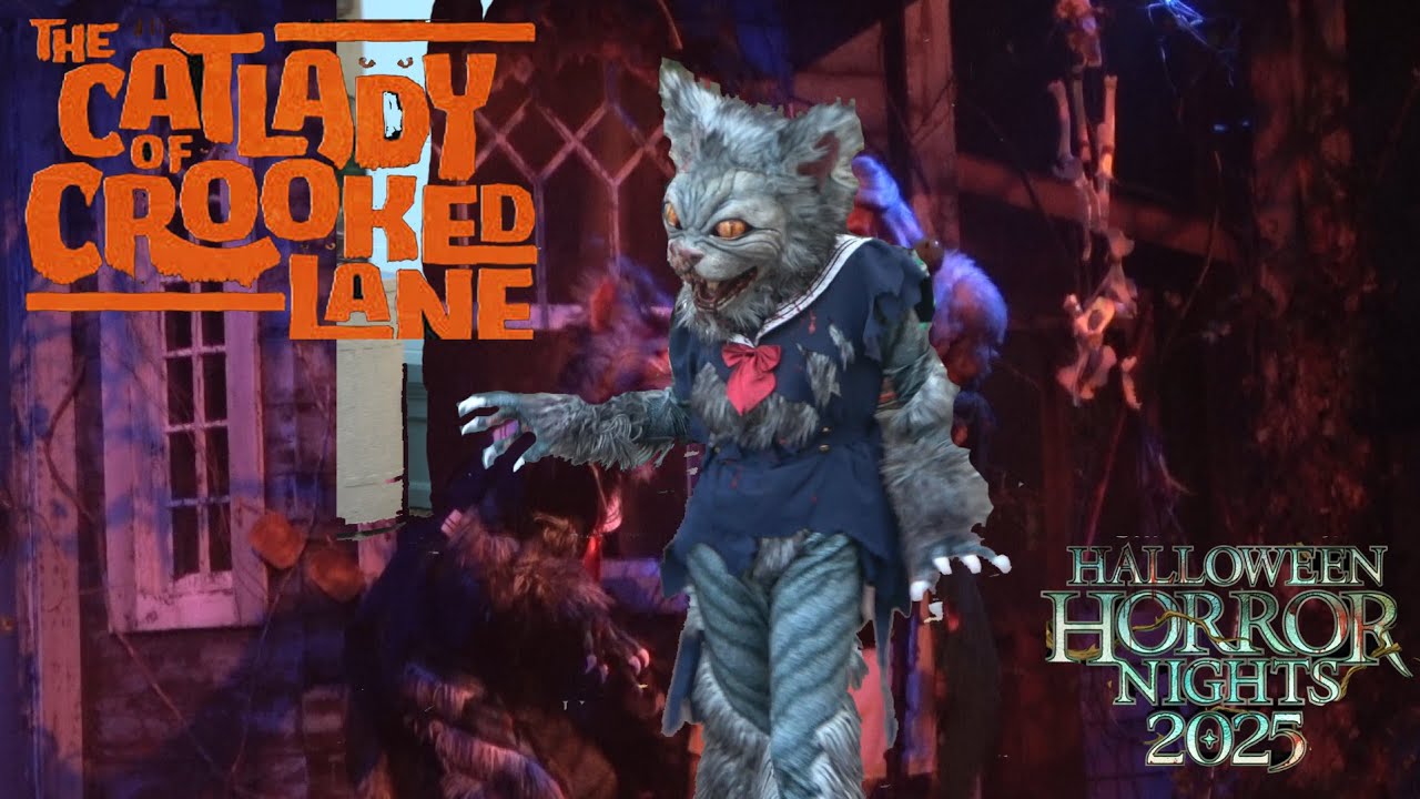 The Cat Lady of Crooked Lane in 4k - YouTube