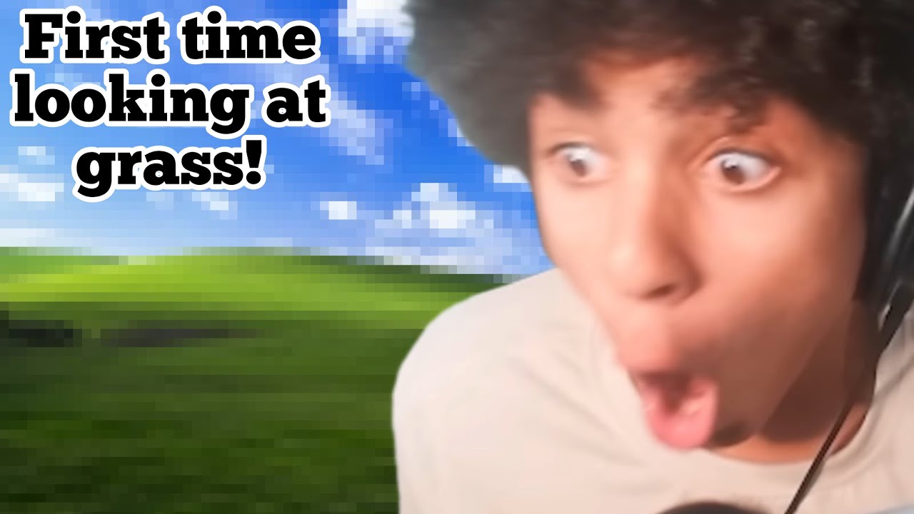 Kingsammelots first time looking at grass - YouTube