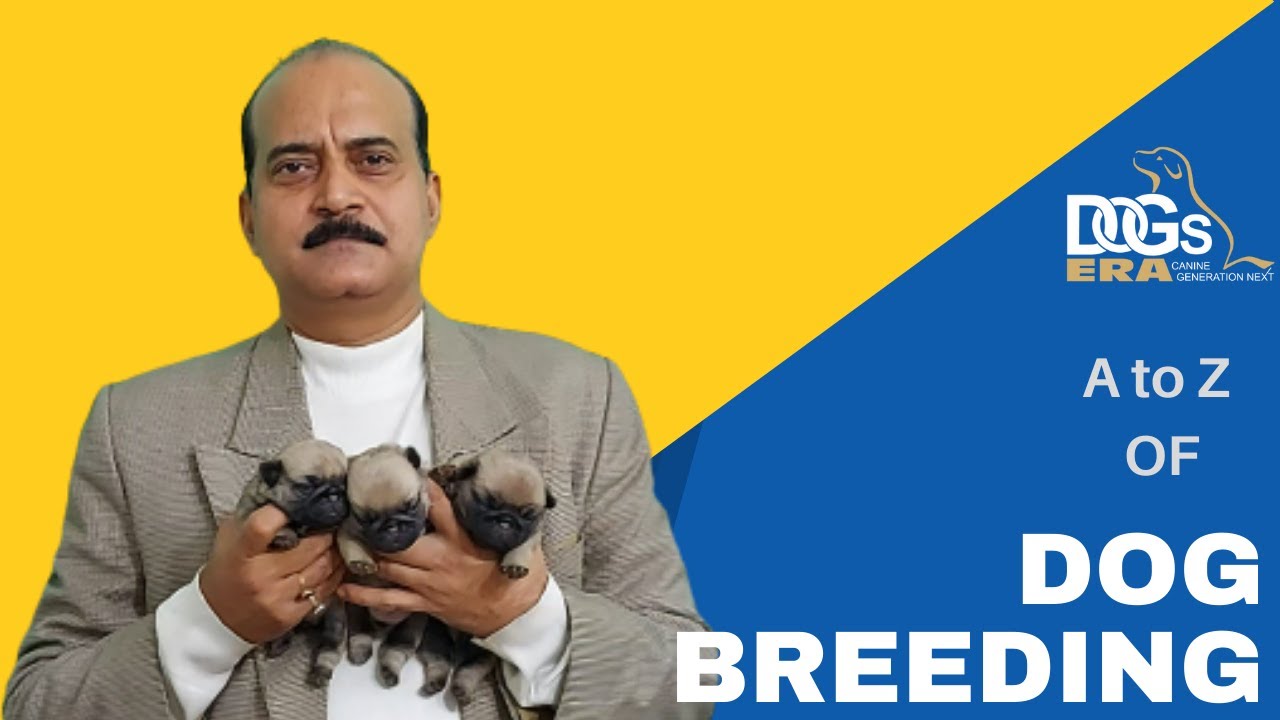 DOG BREEDING YouTube dog-breeding-youtube