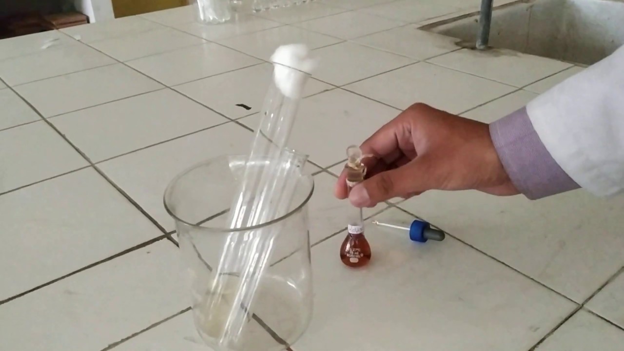 Indole Production Test | IMVIc Test | Microbiology Lab Experiments ...