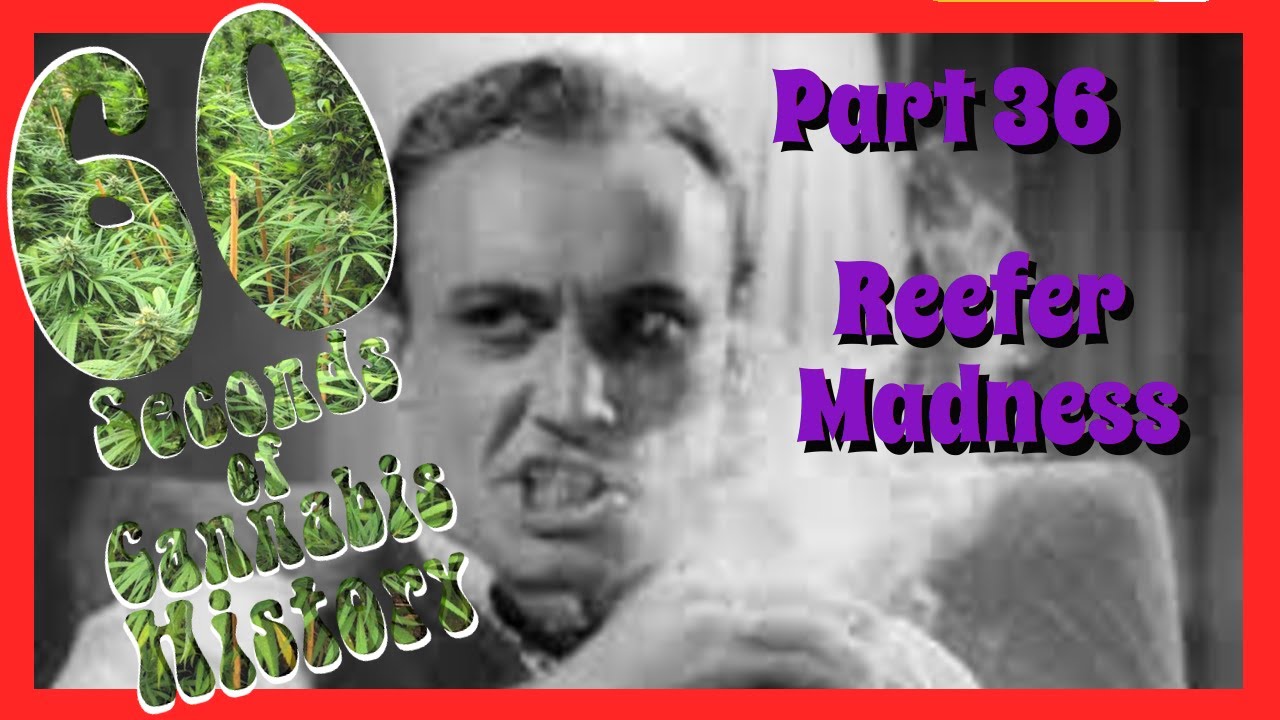 60 Seconds of Cannabis History: Part 36 - Reefer Madness - YouTube
