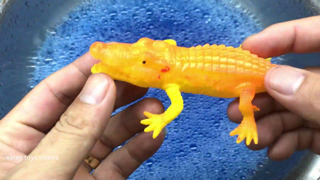 Learn Name Wild Animal & Fish Cambodia Speaking With Plue Water | Video ...