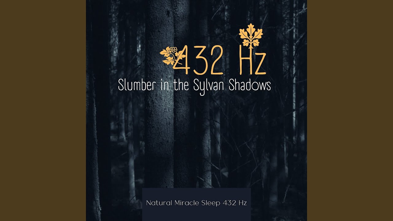 Slumber in the Sylvan Shadows - YouTube