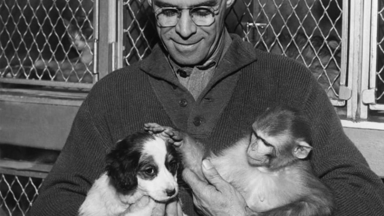 Henry Bergh and the ASPCA for Districts - YouTube