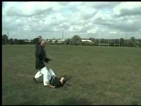 Tenshin Ryu - Cane Masters Kata - YouTube