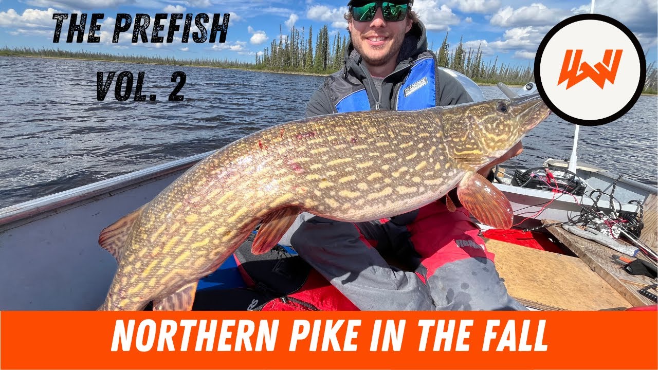 The Pre Fish Vol. 2 // How to catch Fall Time Northern Pike - YouTube
