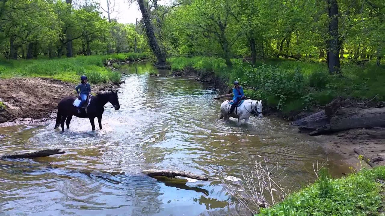 Tamarack Stables Trail Ride 5/2/15 - YouTube
