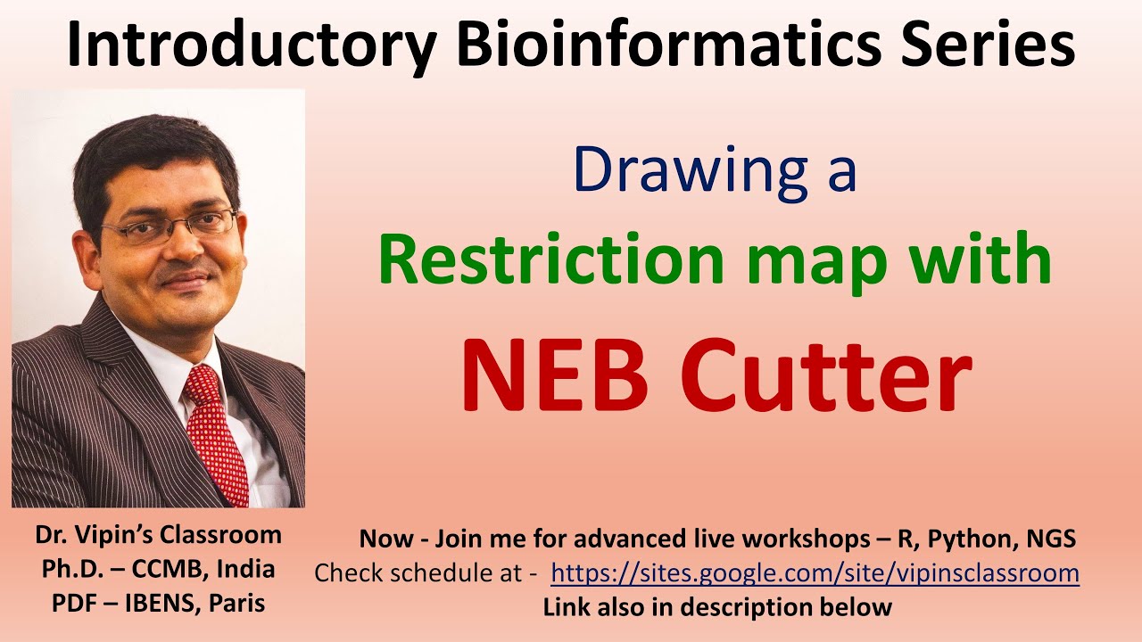 Restriction mapping using NEBcutter V2.0 - Bioinformatics Practical 2 ...