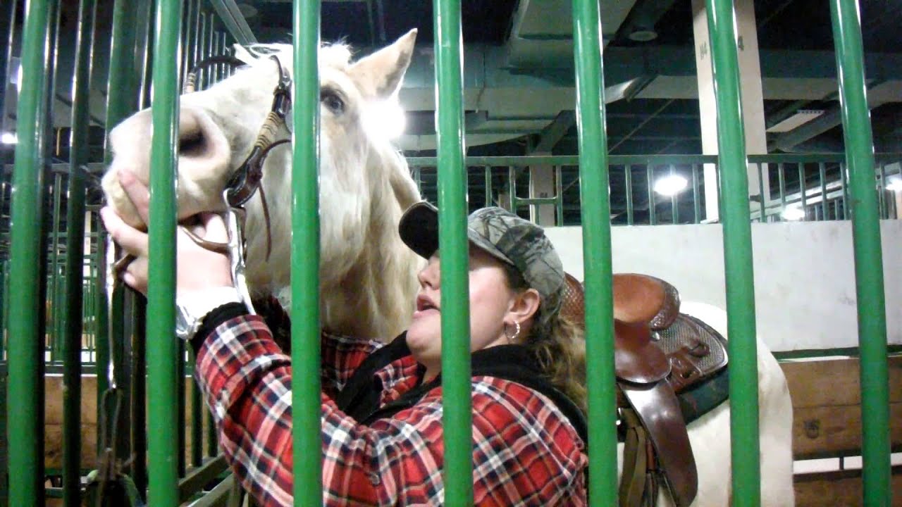 Tack & Untack - YouTube