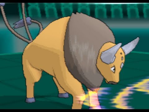 Pokemon X and Y WiFi Battle #87: Bull Horns - YouTube