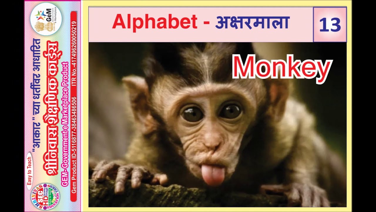 Alphabet Movie - YouTube